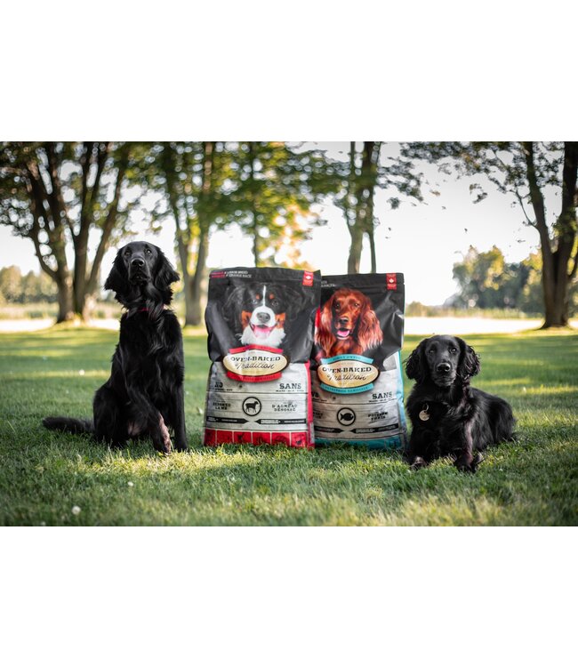 OVEN-BAKED TRADITION - Original Fish Recipe for All Breed Adult Dogs ...