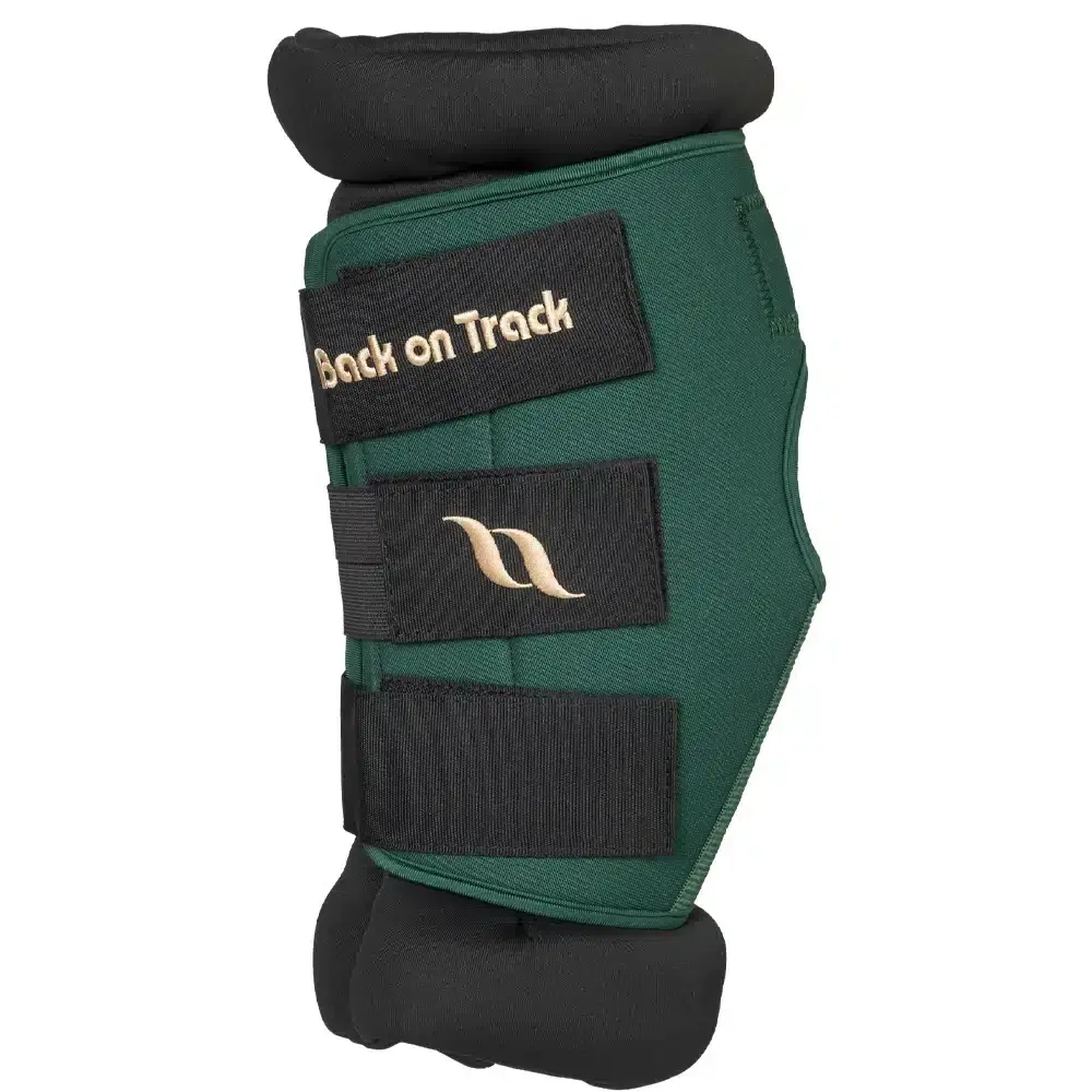 BACK ON TRACK - Royal Hunter Green Hock Boot - Paddock Animal & Co
