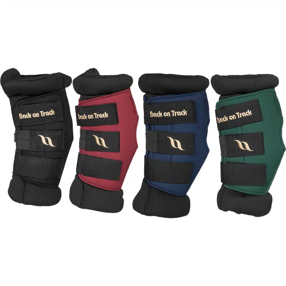 BACK ON TRACK - Royal Hunter Green Hock Boot - Paddock Animal & Co