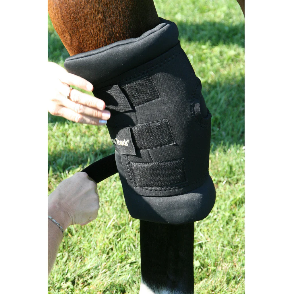 BACK ON TRACK - Royal Hunter Green Hock Boot - Paddock Animal & Co