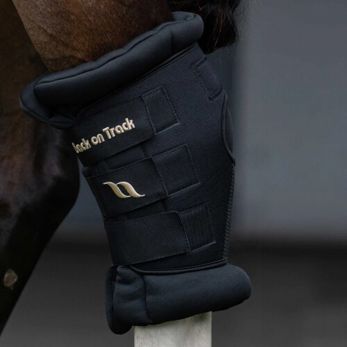 BACK ON TRACK - Royal Raven Black Hock Boot - Paddock Animal & Co