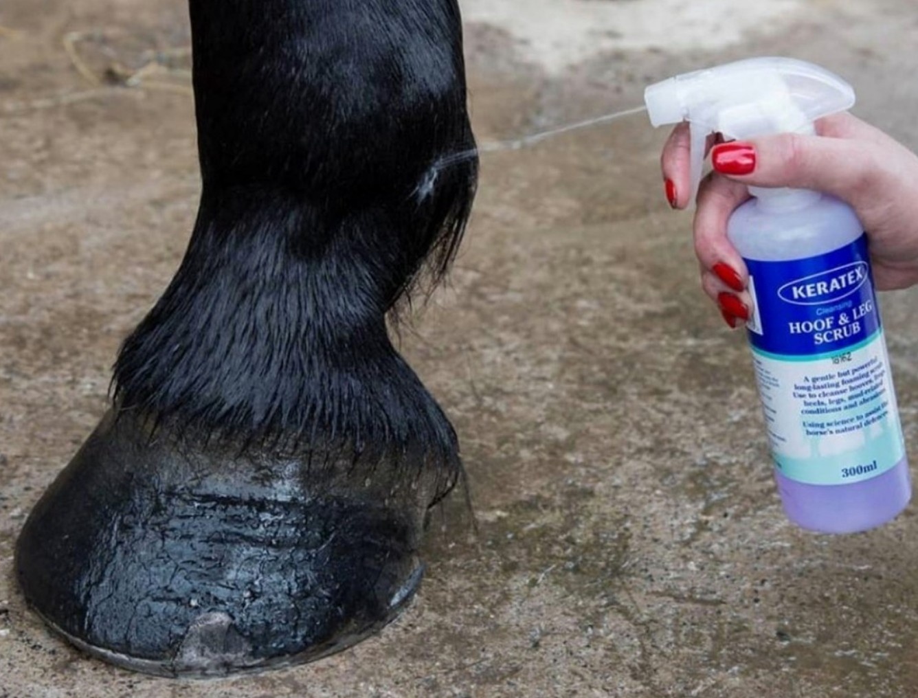 KERATEX - Cleansing Hoof & Leg Scrub - Paddock Animal & Co