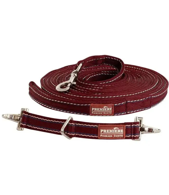 BR EQUESTRIAN - Lunging kit - Paddock Animal & Co