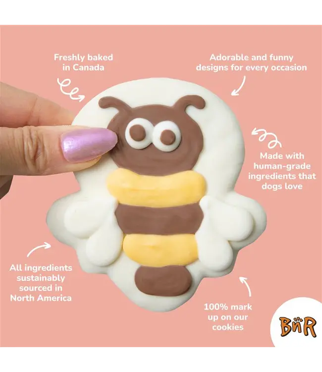 BOSCO & ROXY'S - Biscuit Artisanal Printemps Ribbit Fly Catcher ...