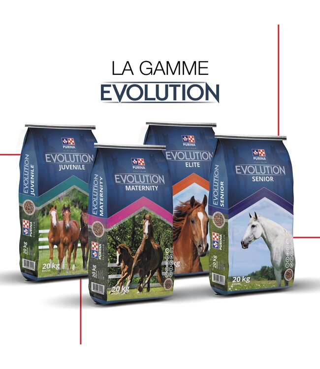 PURINA CARGILL - Evolution Senior - Paddock Animal & Co