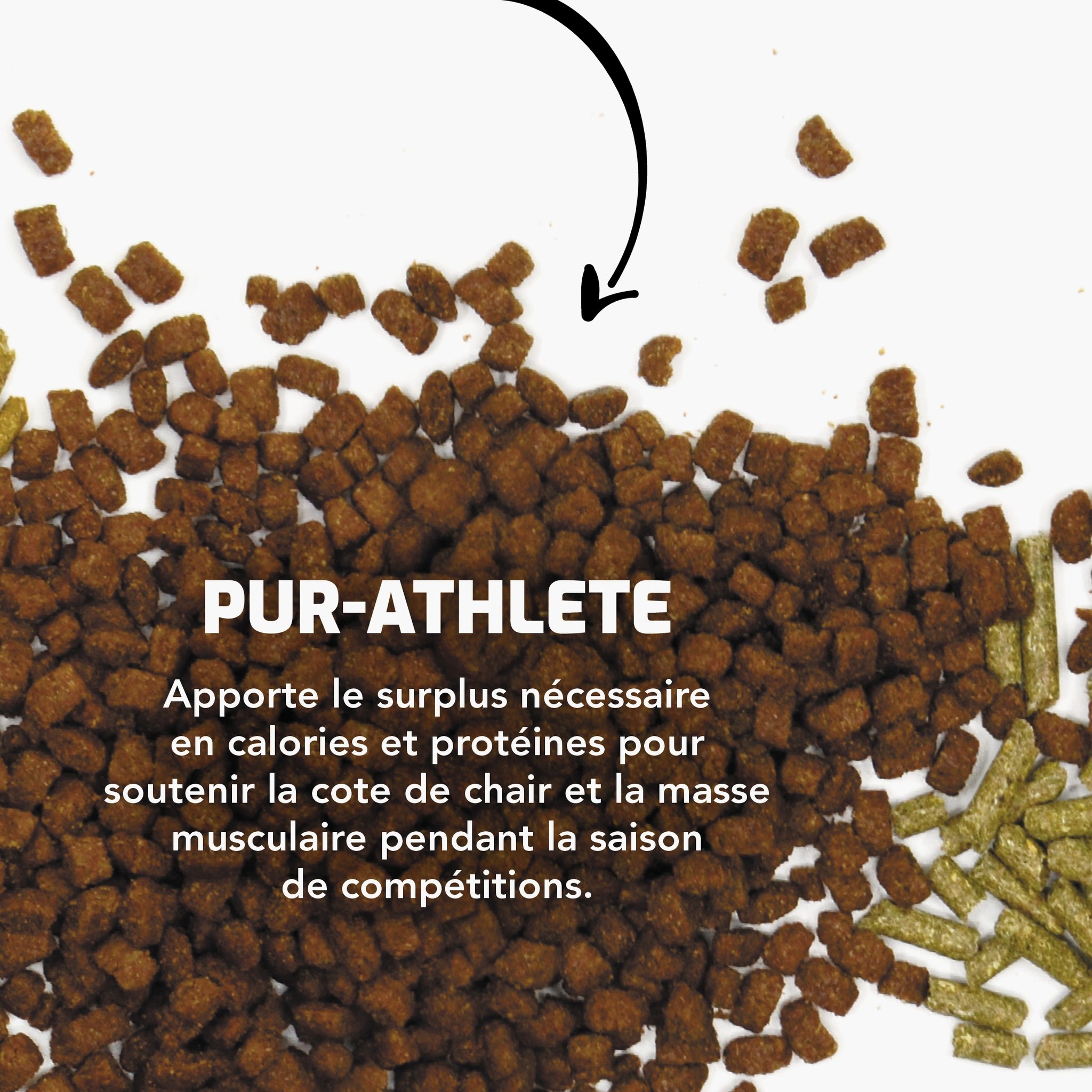 PURINA CARGILL - Pur-Athlete Supplement - Paddock Animal & Co