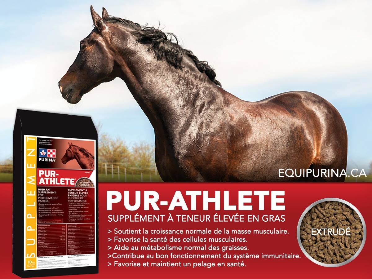 PURINA CARGILL - Supplément de Pur-Athlète - Paddock Animal