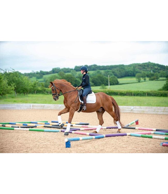 GER-RYAN- Rail Razers - Paddock Animal