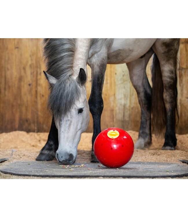LIKIT - Snak-a-Ball - Paddock Animal & Co