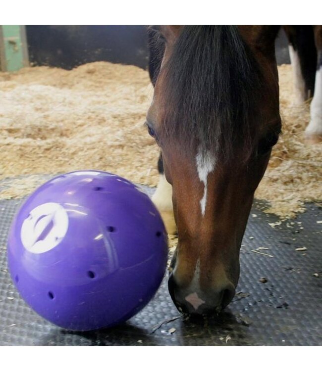 LIKIT - Snak-a-Ball - Paddock Animal & Co