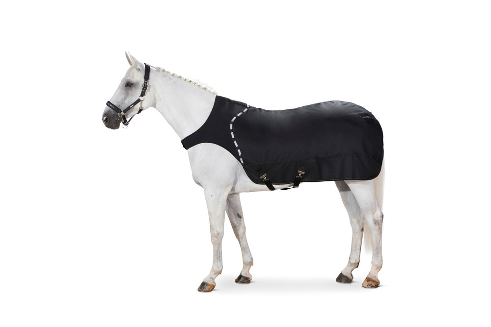 ESKADRON - Black Delta Walker System - Paddock Animal & Co