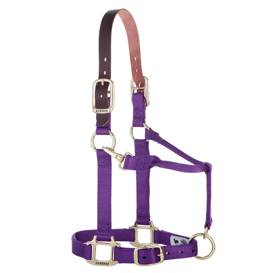 WEAVER - Breakaway Original Adjustable Purple Chin & Throat Snap 1'' H ...