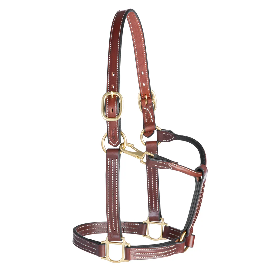 WEAVER - Licou en Cuir 1'' Thoroughbred avec Snap - Paddock Animal