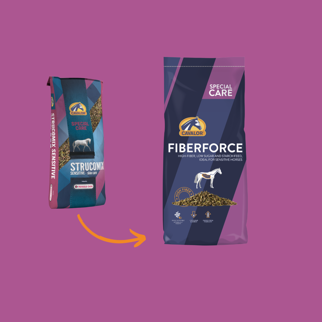 CAVALOR - Moulée FiberForce Muesli - Paddock Animal