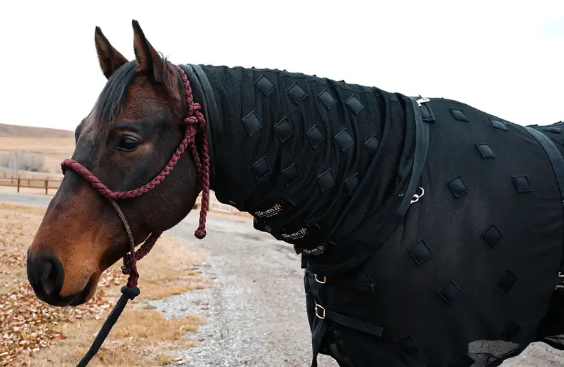 ELEVEN11 - Black Magnetic Neck Cover - Paddock Animal & Co