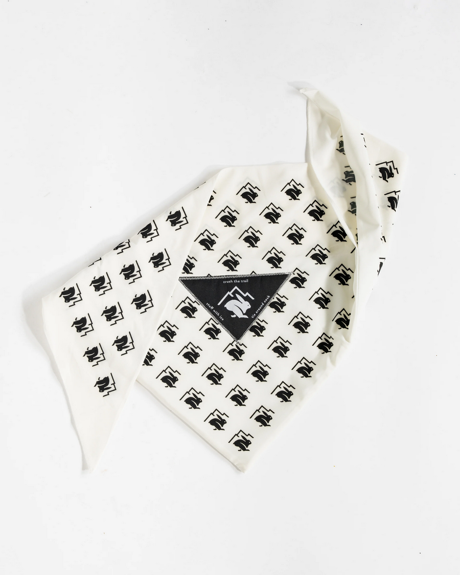 Rabbit Ice Rad-Dana - Distance Runwear