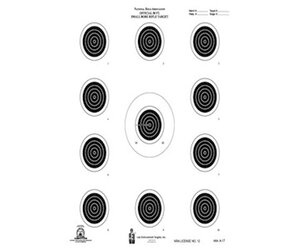 NRA SMALL BORE RIFLE 50 FOOT 4 POSITION TARGET, EACH - Dominion ...