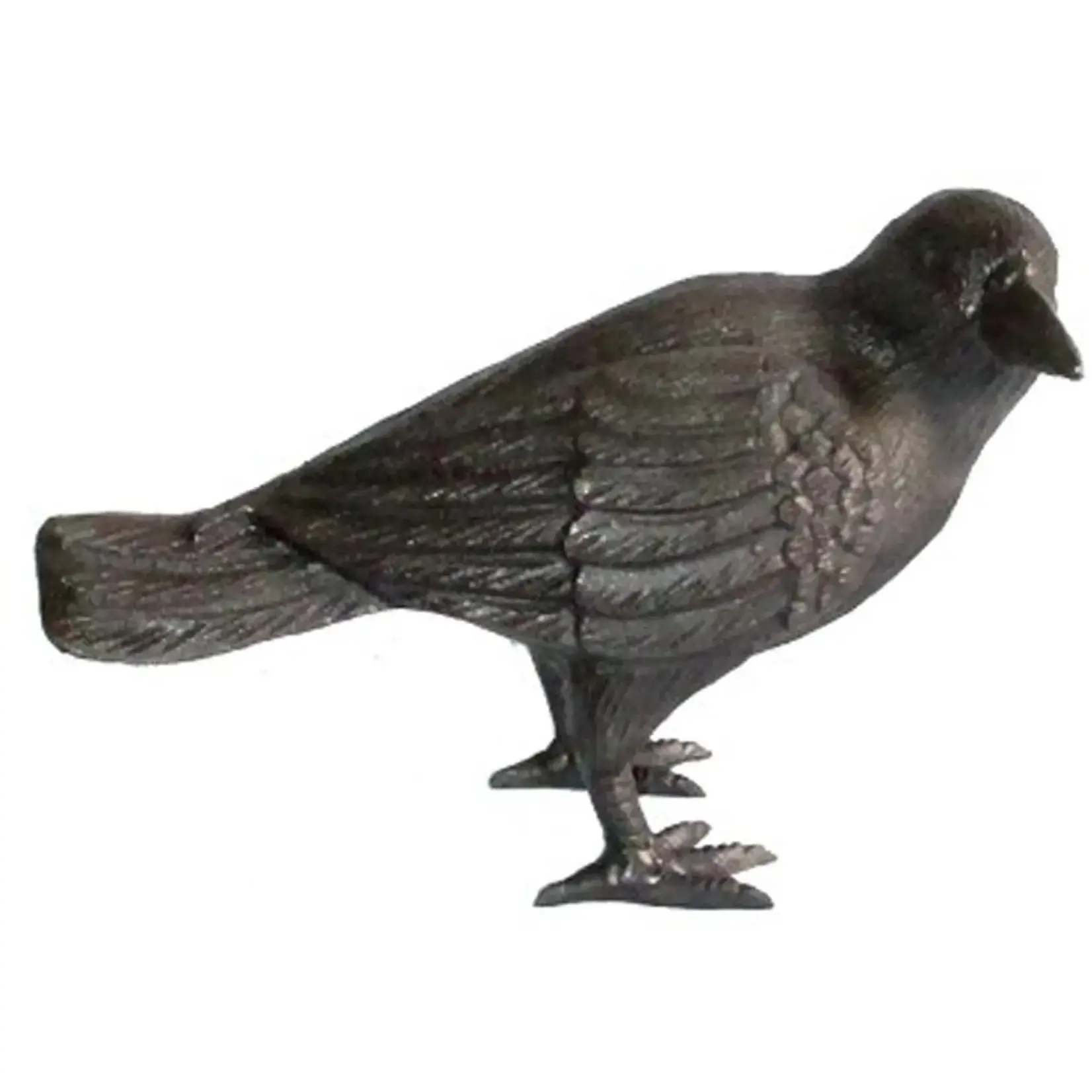 Crow, Cast Iron - Zocalo