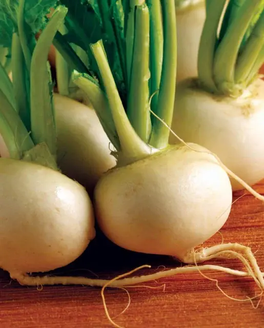Seeds, Turnips Hakurei F1 (West Coast Seeds) - Zocalo