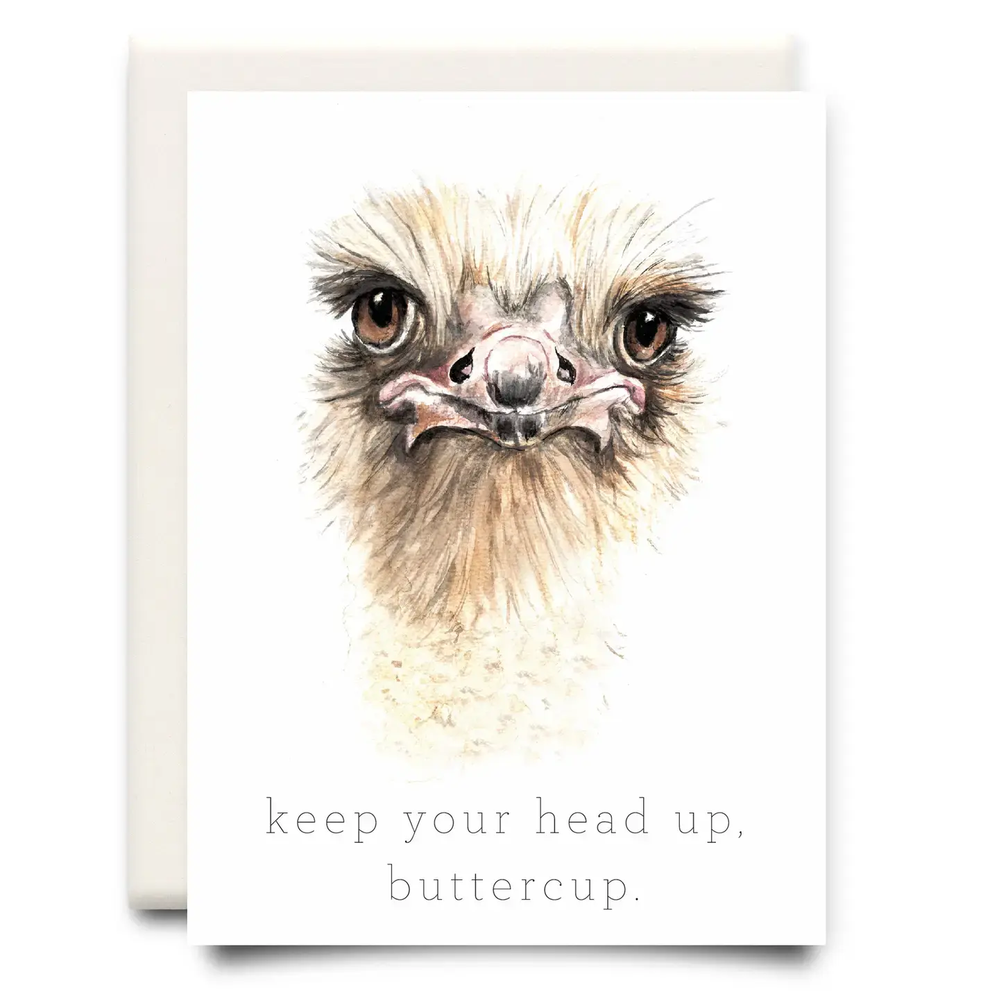 Card, Keep Your Head Up Buttercup - Zocalo