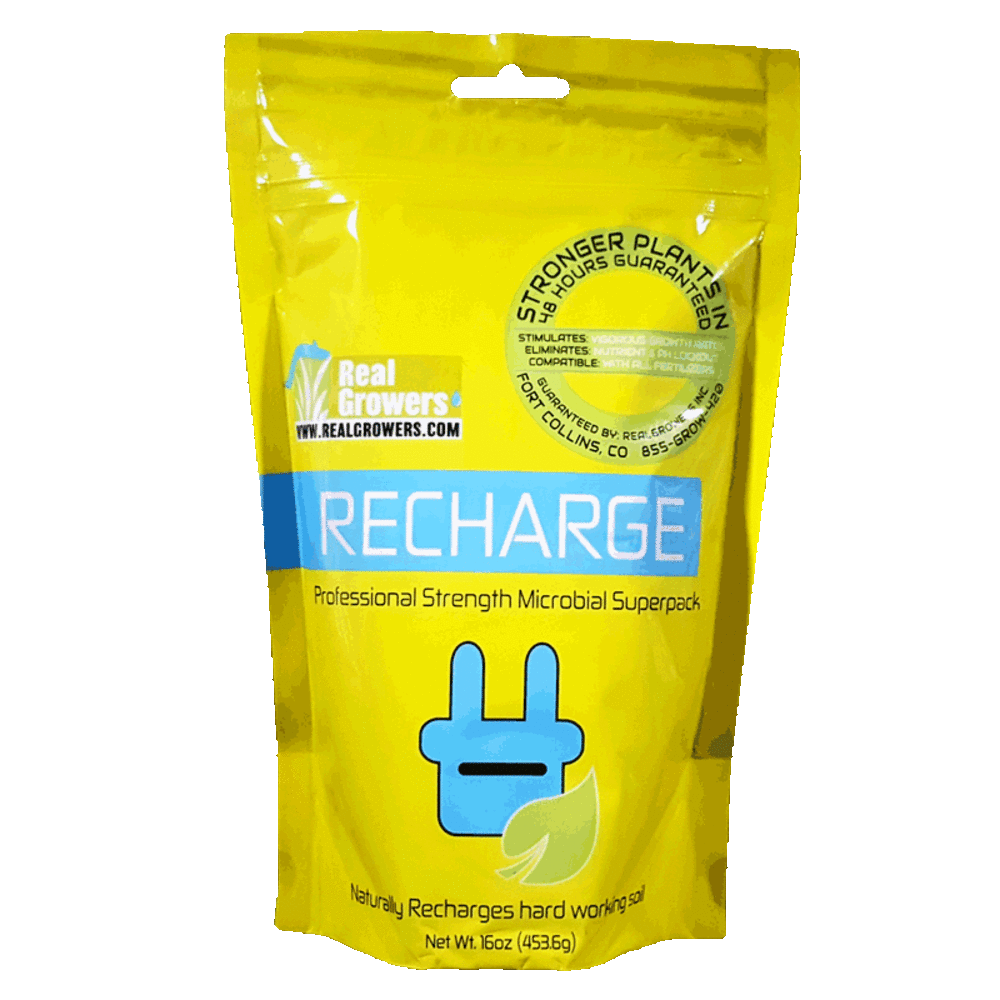 Recharge 16oz Bag - Home Grown Supplies