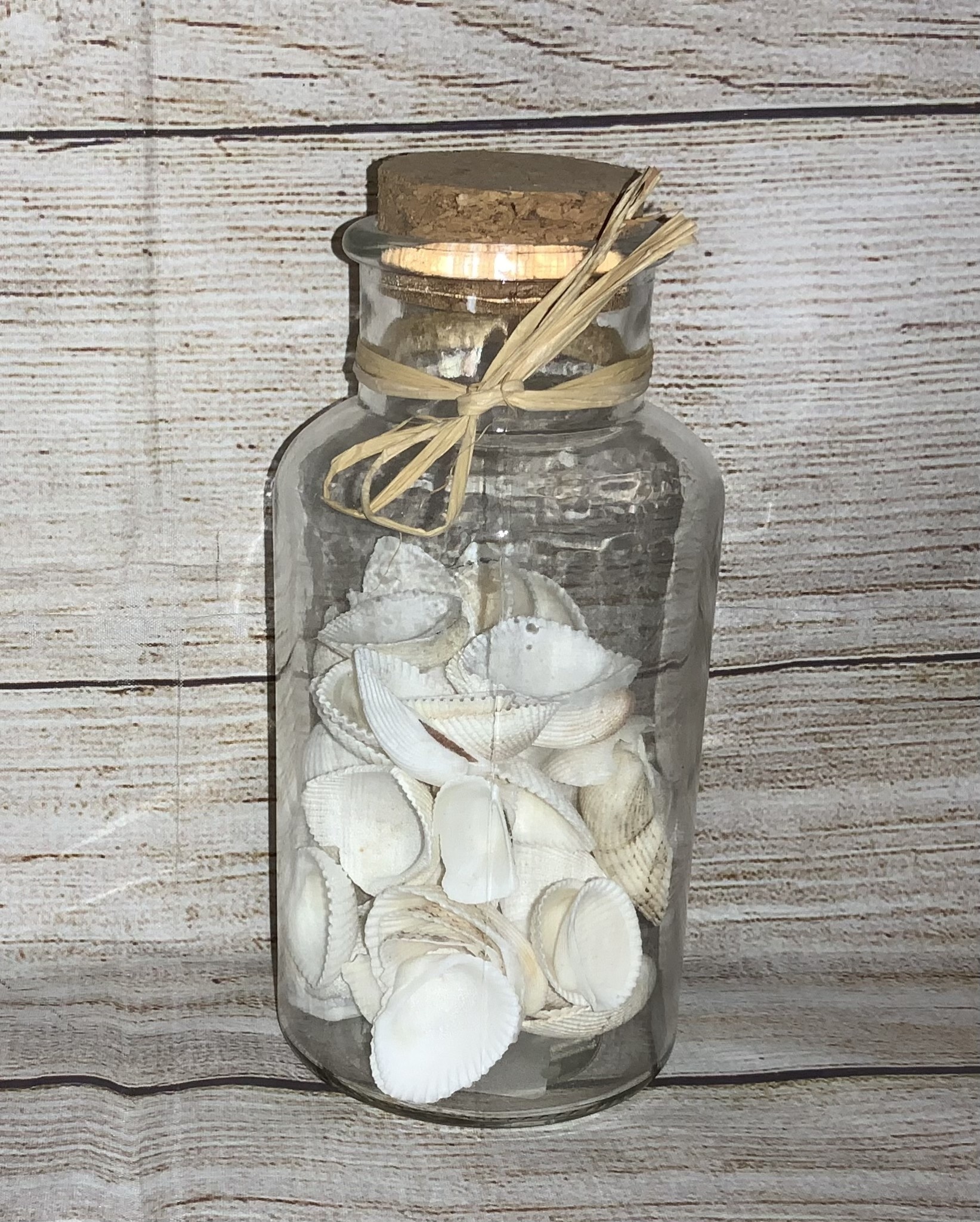 Sea Shell Jar - A Gathering Place