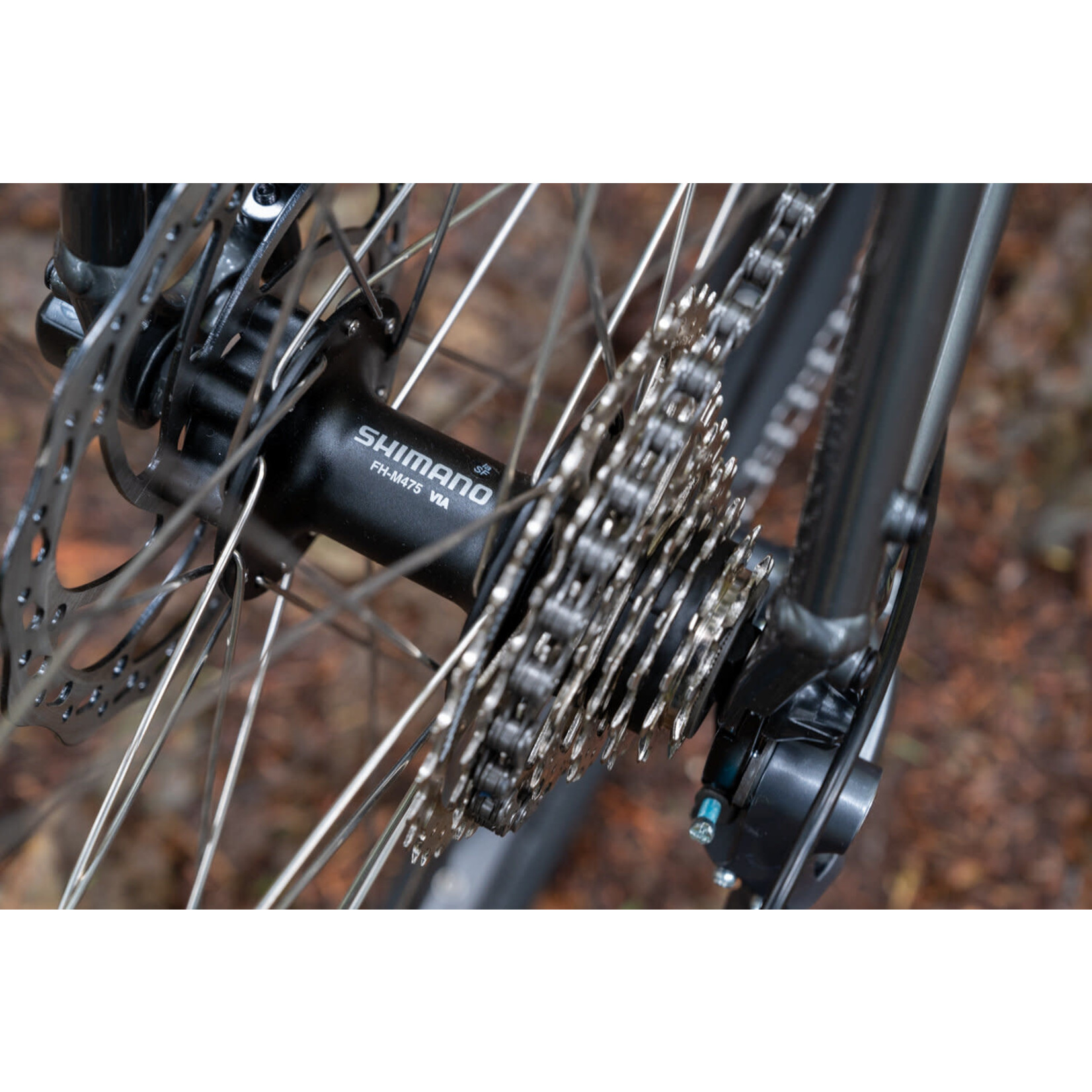 2022 Brodie Revel - Infinity Cycle