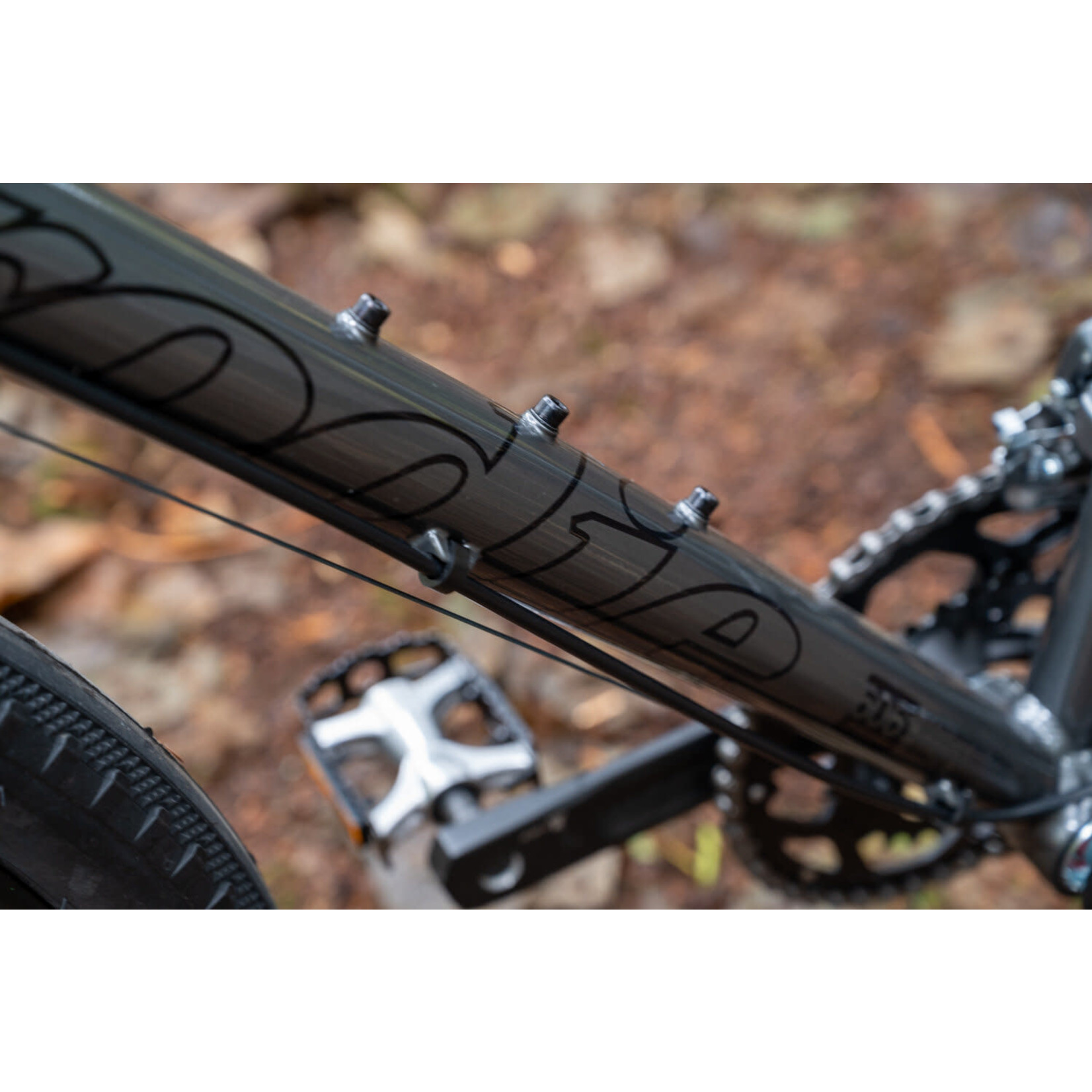 2022 Brodie Revel - Infinity Cycle