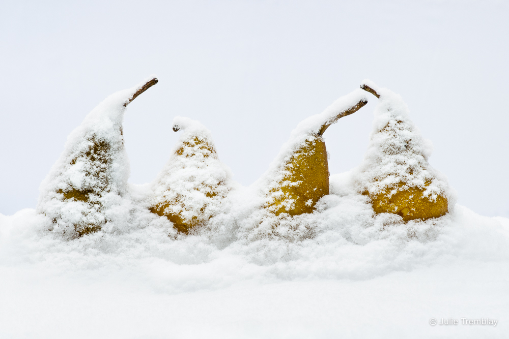 4 Snow Pears - JulieTremblay