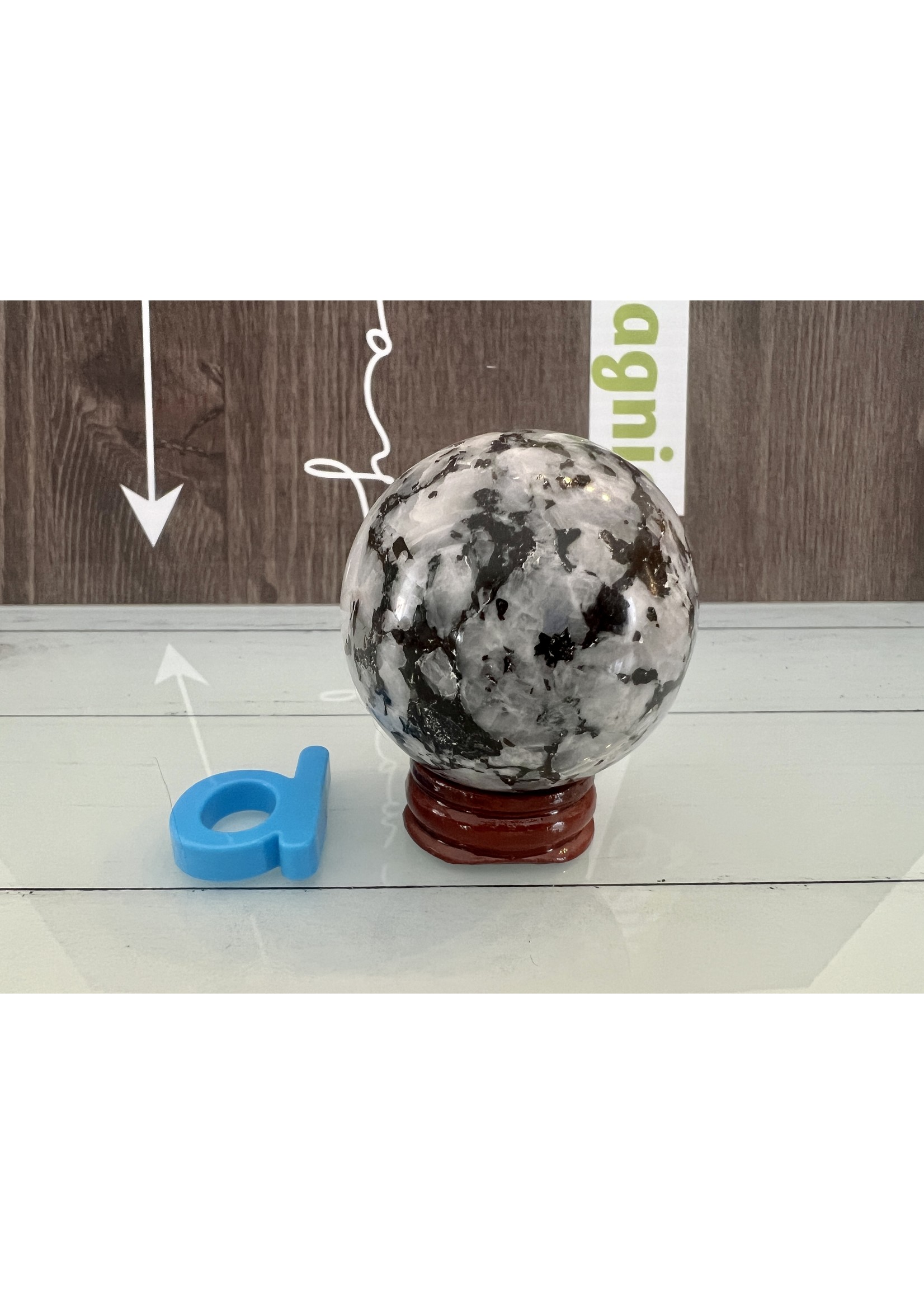 Sparkling Rainbow Moonstone Sphere - La Vie et Compagnie Sparkling Rainbow Moonstone Sphere - La Vie et Compagnie