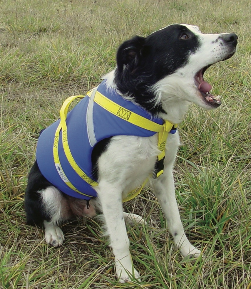 Fido Float - Oregon Paddle Sports