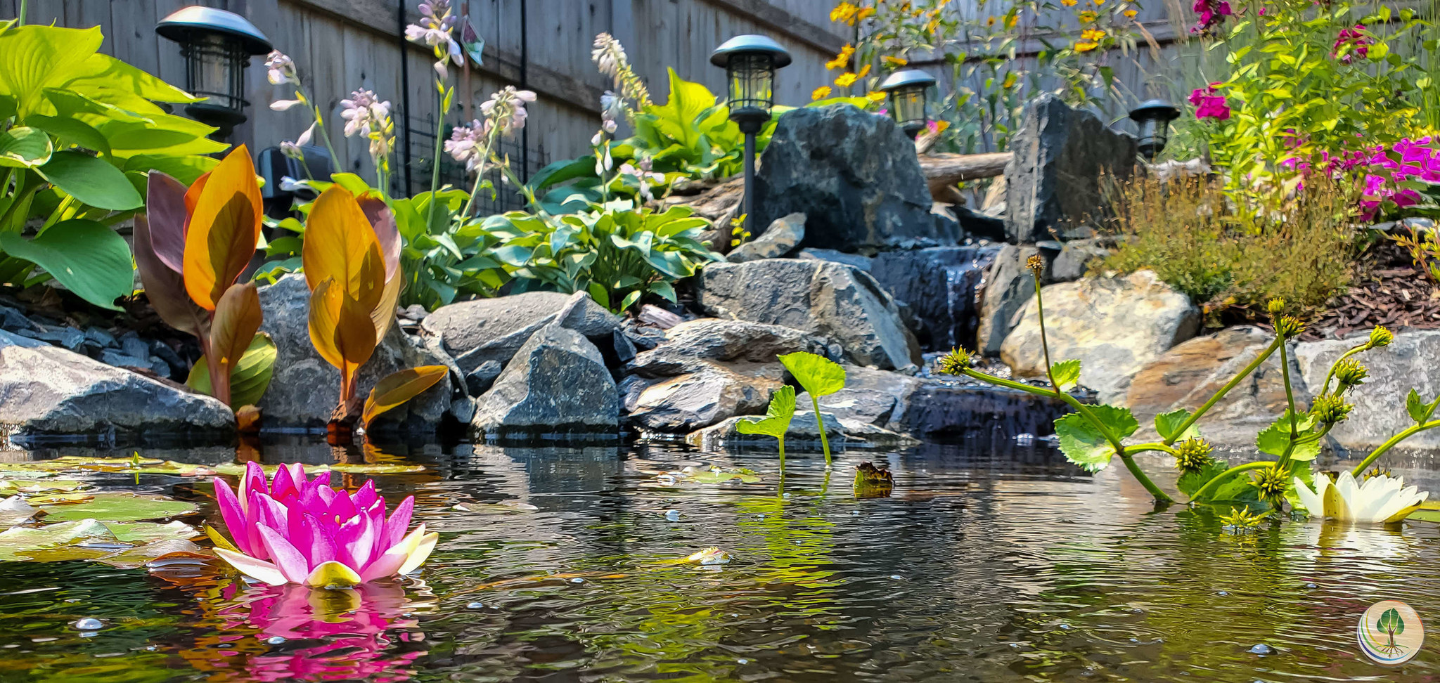 Aquarium Aquascaping and Water Feature Blog | Canada | Nuterro Aquatics ...