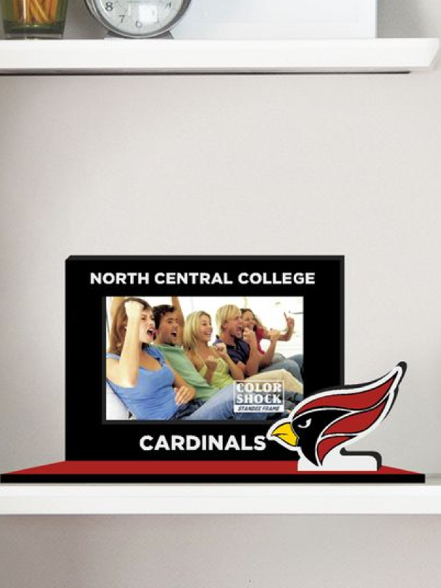 North Central College Standee Frame with Cardinal Head - North Central ...