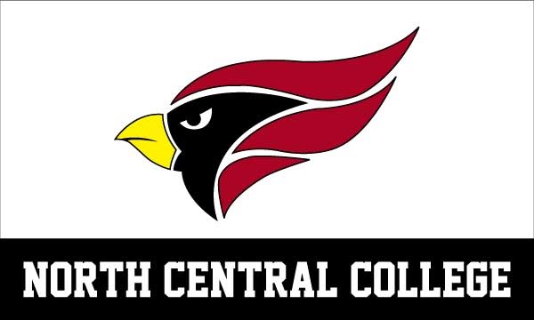 Silk Screen Print 3x5 Chippy Cardinal Flag by Sewing Concepts - North ...