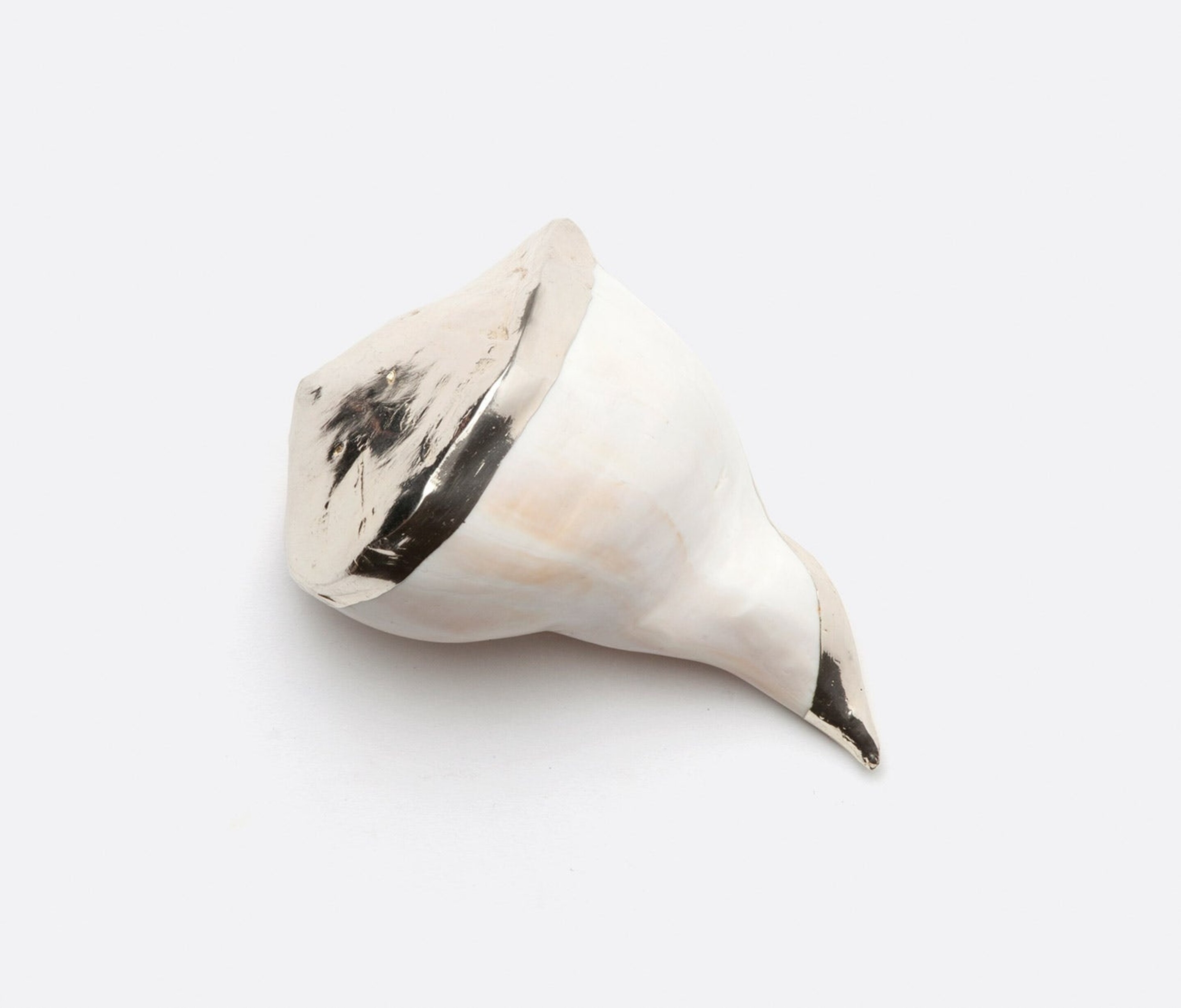 Jacob Natural/Silver Whelk Shell Decor - Saltwater House