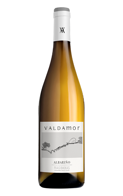 Bodegas Valdamor / Albarino Rias Baixas / 750mL - Roma Wines & Liquors