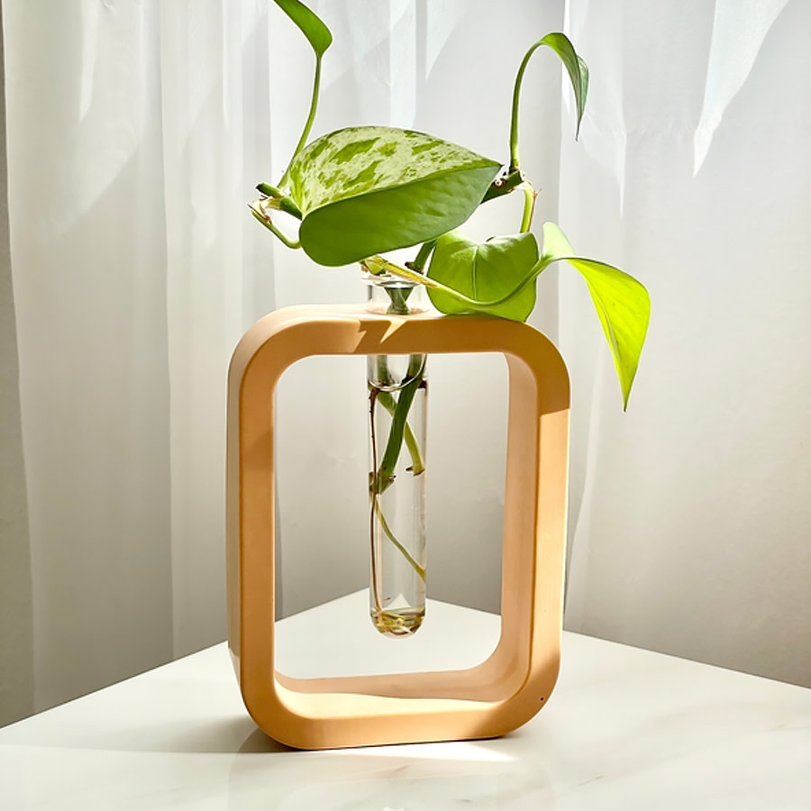 Plant Propagation Cement Vase - The Salty Palm