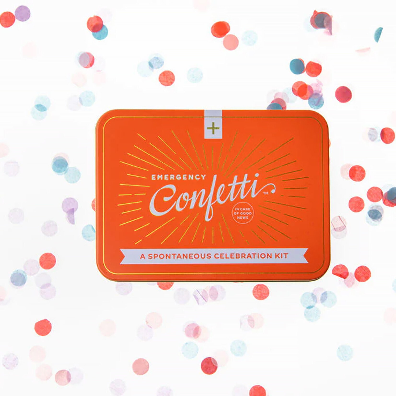 Celebration Kit - The Salty Palm