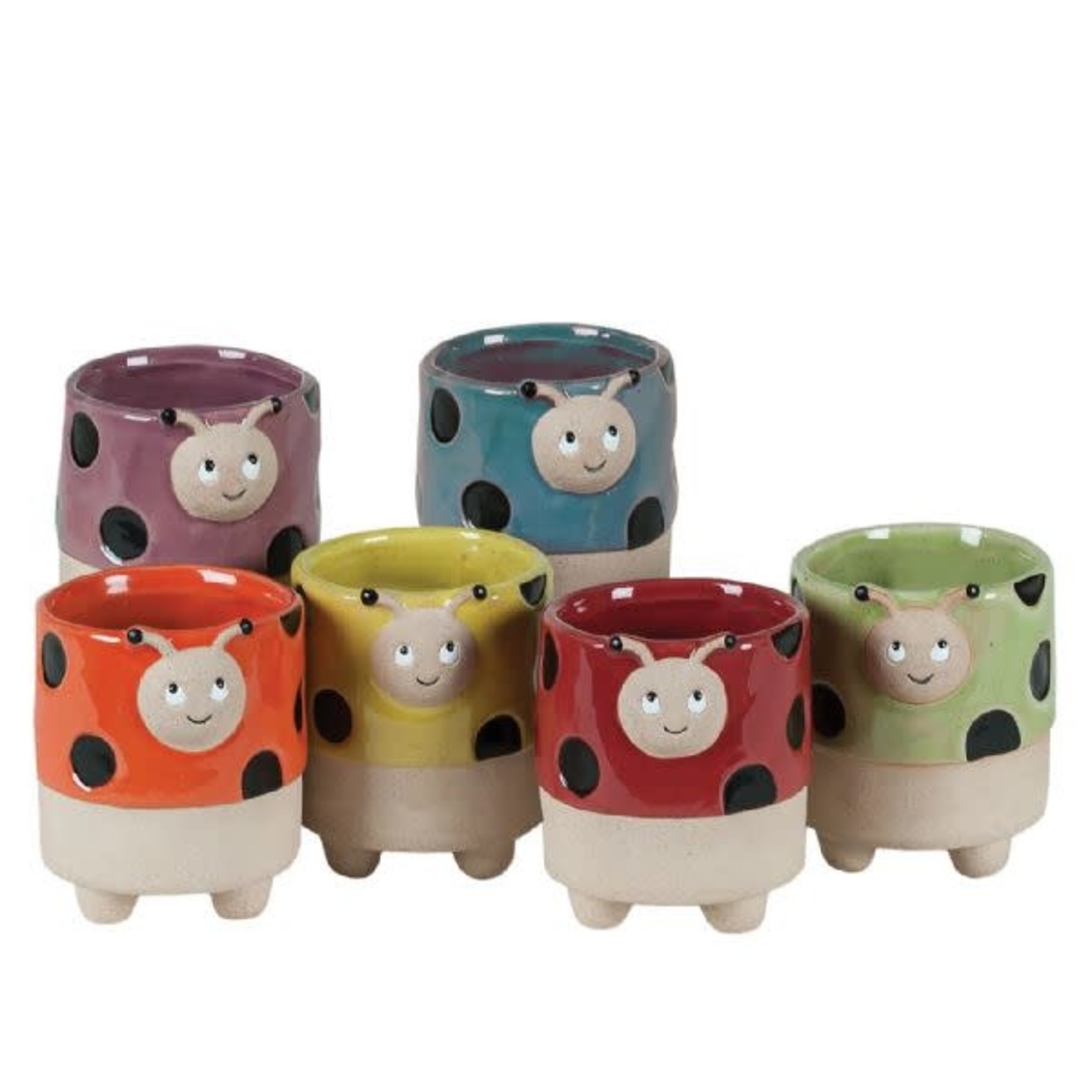 3.5''H X 3" ROUND LADYBUG POTTERY ASSORTED STYLES PER BOX. PACKED 24 ...