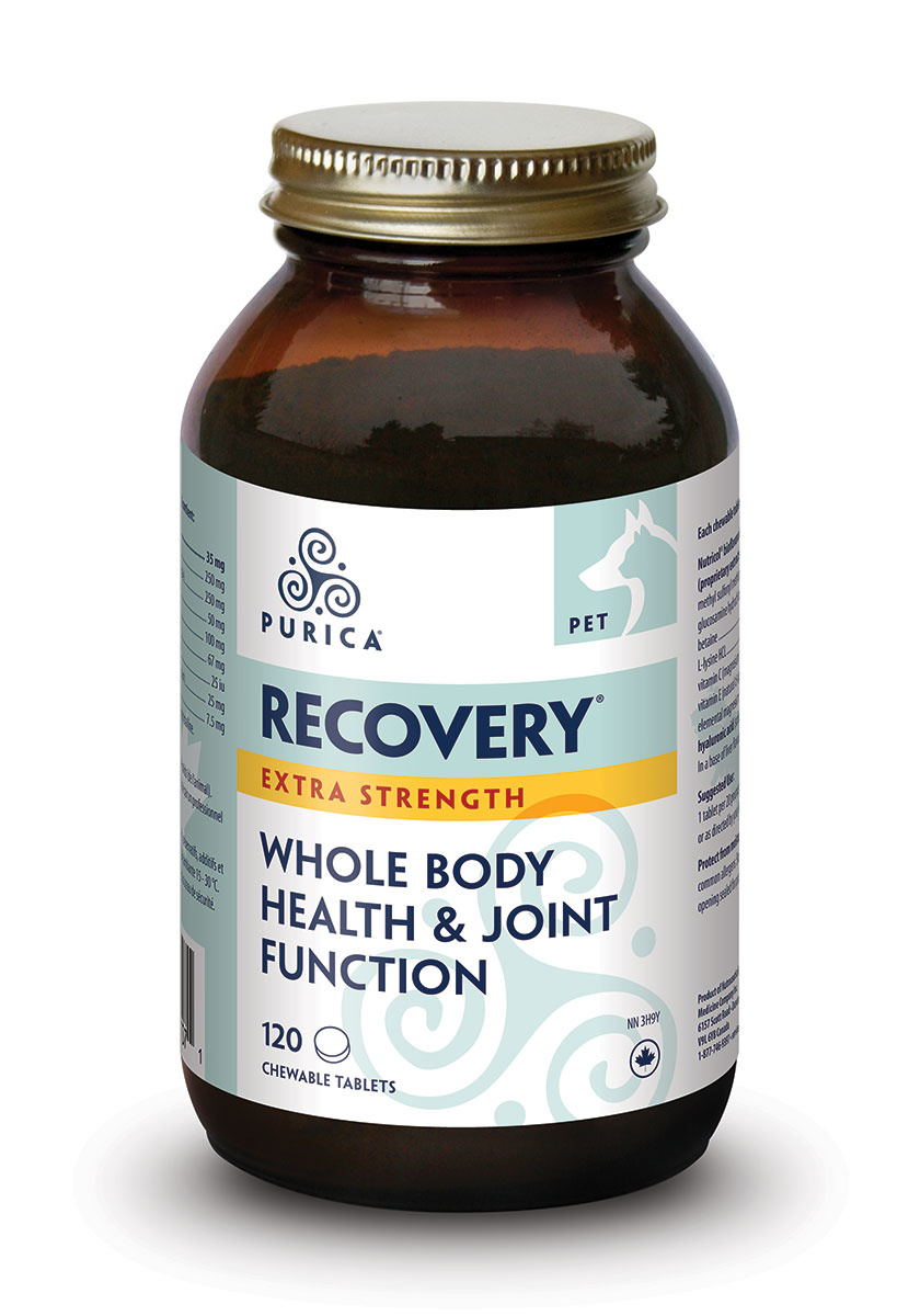 Purica Recovery SA Extra Strength 120 chewable tabs - Vitamin King ...