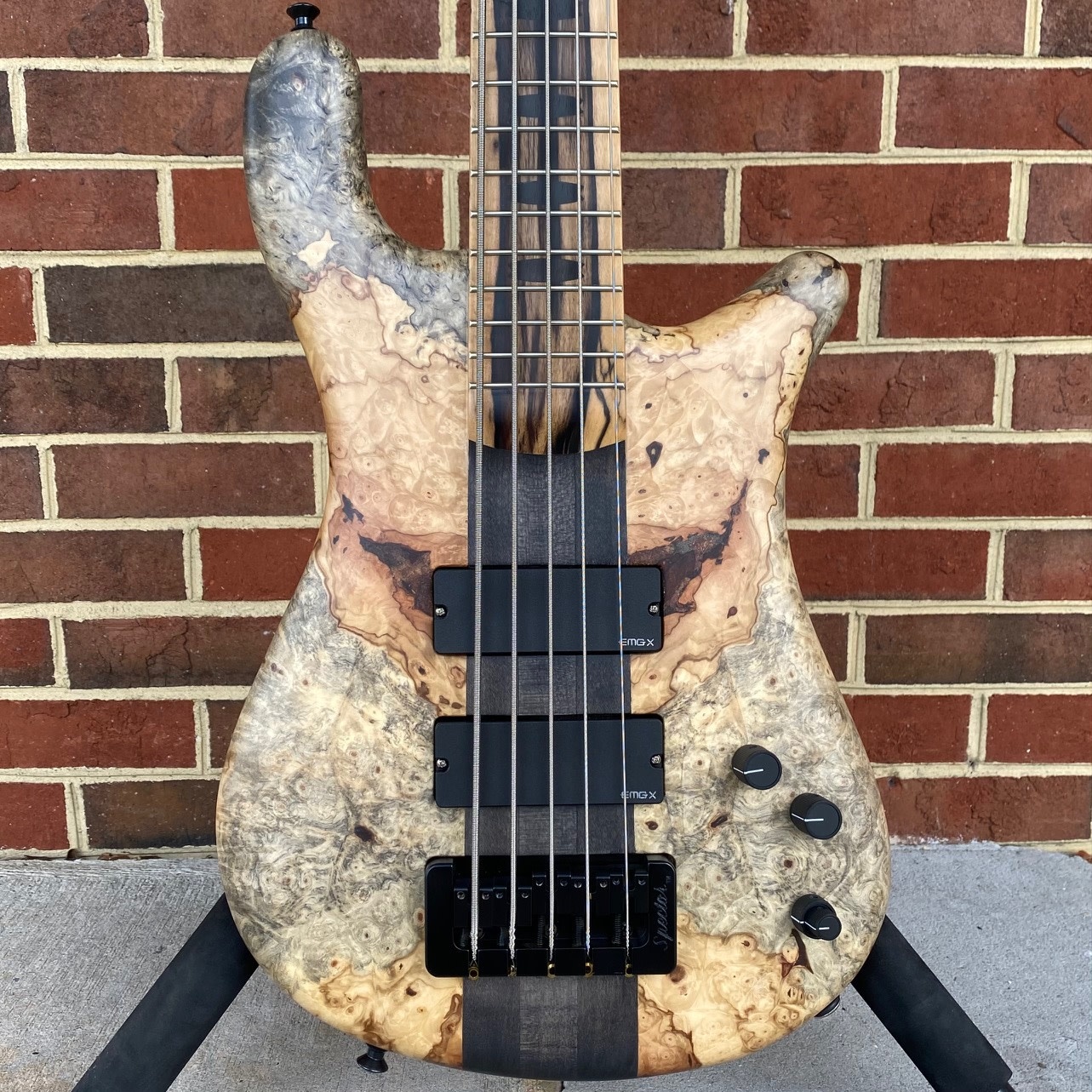 Spector USA NS-5XL, Buckeye Burl Top, Chambered Swamp Ash Body, Pale ...