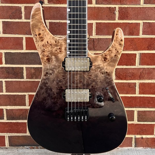 Electric Guitars - Music Loft of Wilmington