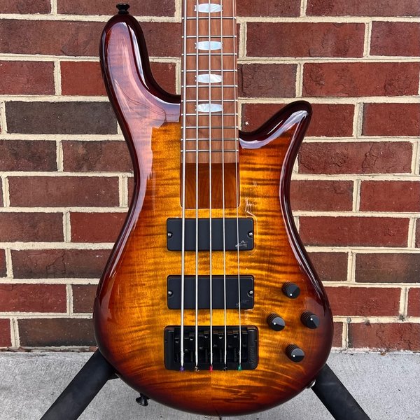 Spector - The Music Loft