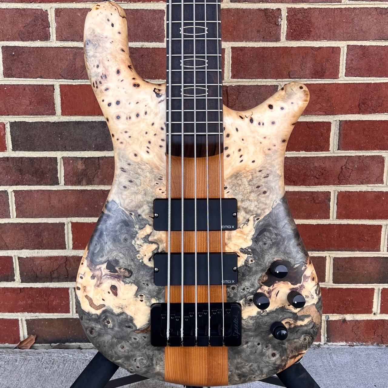 Spector USA NS-5XL, Buckeye Burl Top, Swamp Ash Body - Weight Relieved ...