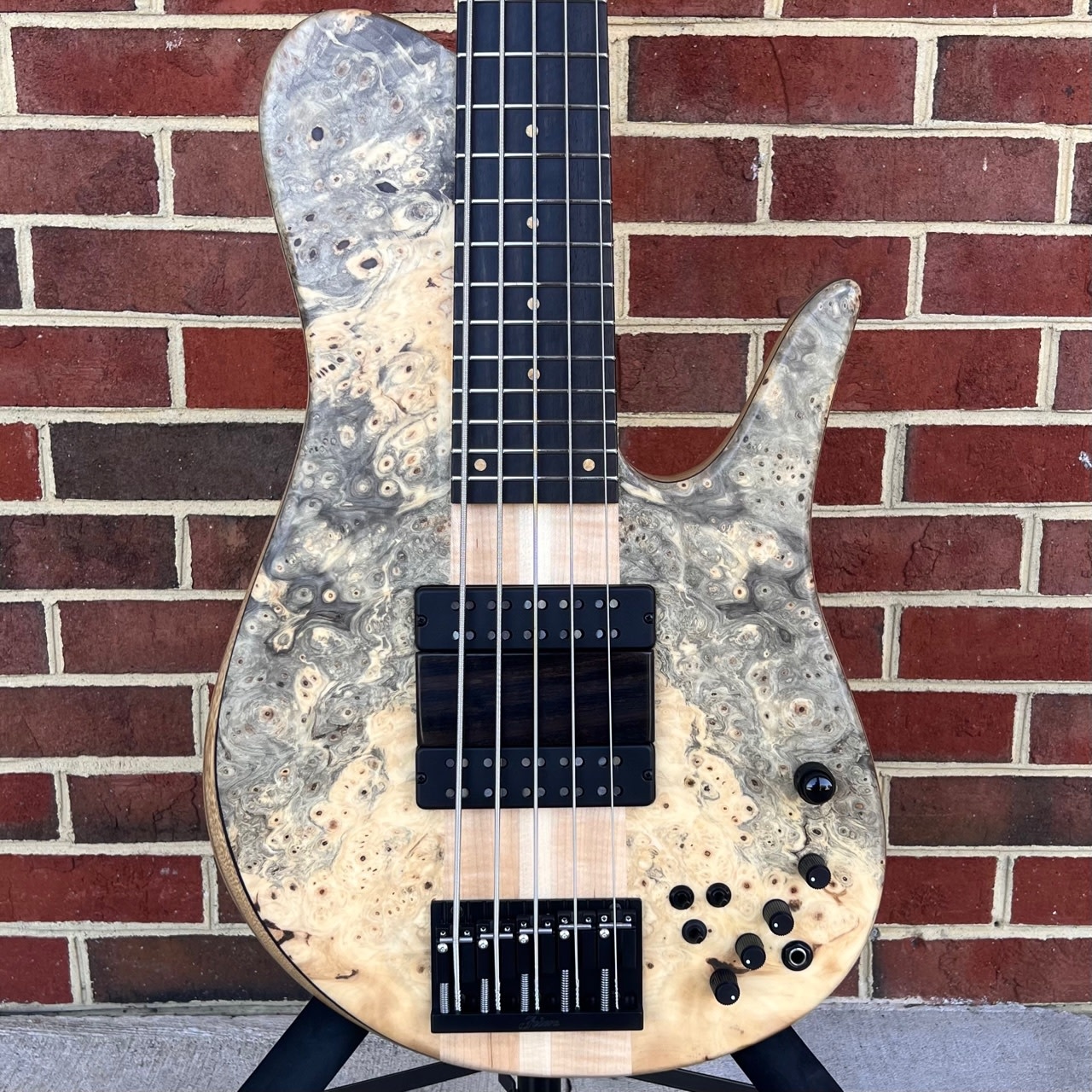 Fodera Imperial Elite 5, Buckeye Burl Top, Black Limba Body, Swamp Ash ...