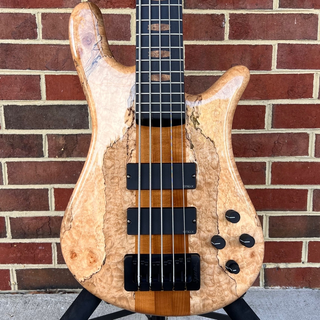 Spector USA NS-5XL, Chestnut Top (Quilted & Spalted), Figured Walnut ...