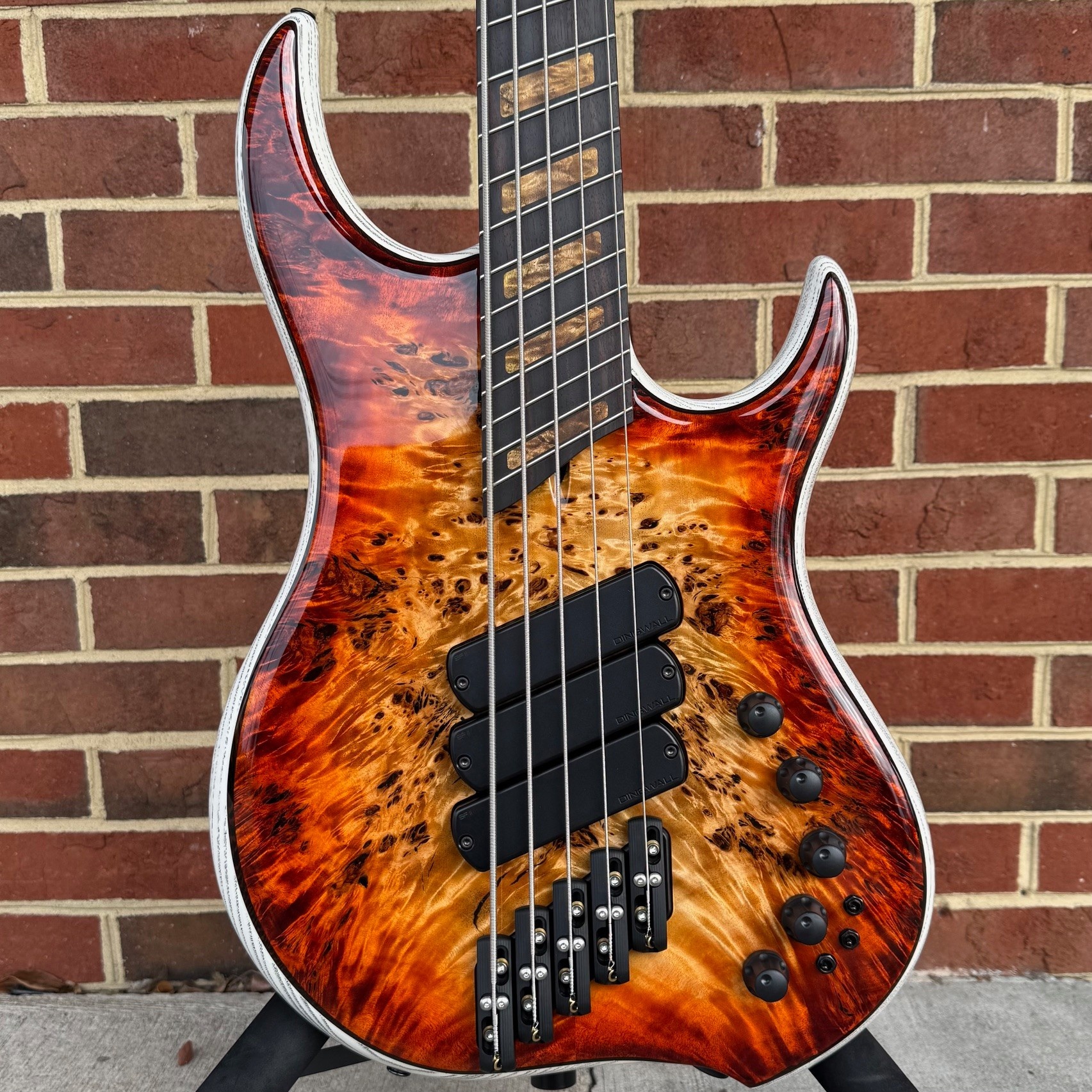 Dingwall Custom Z3 5-String, Explosion Burst, Premium Poplar Burl Top ...