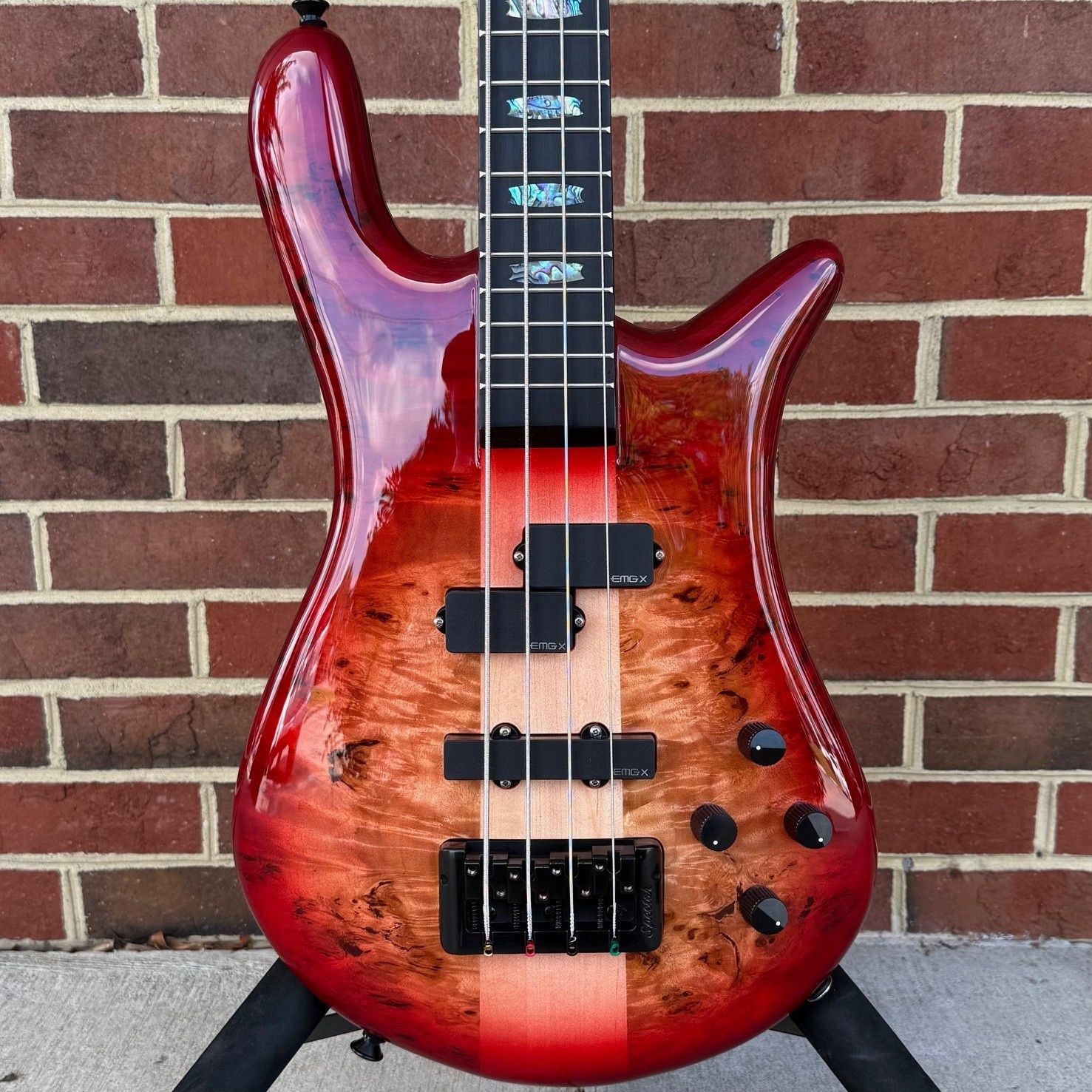 Spector Euro 4 CST, Natural Red Burst, Poplar Burl Top, European Ash ...