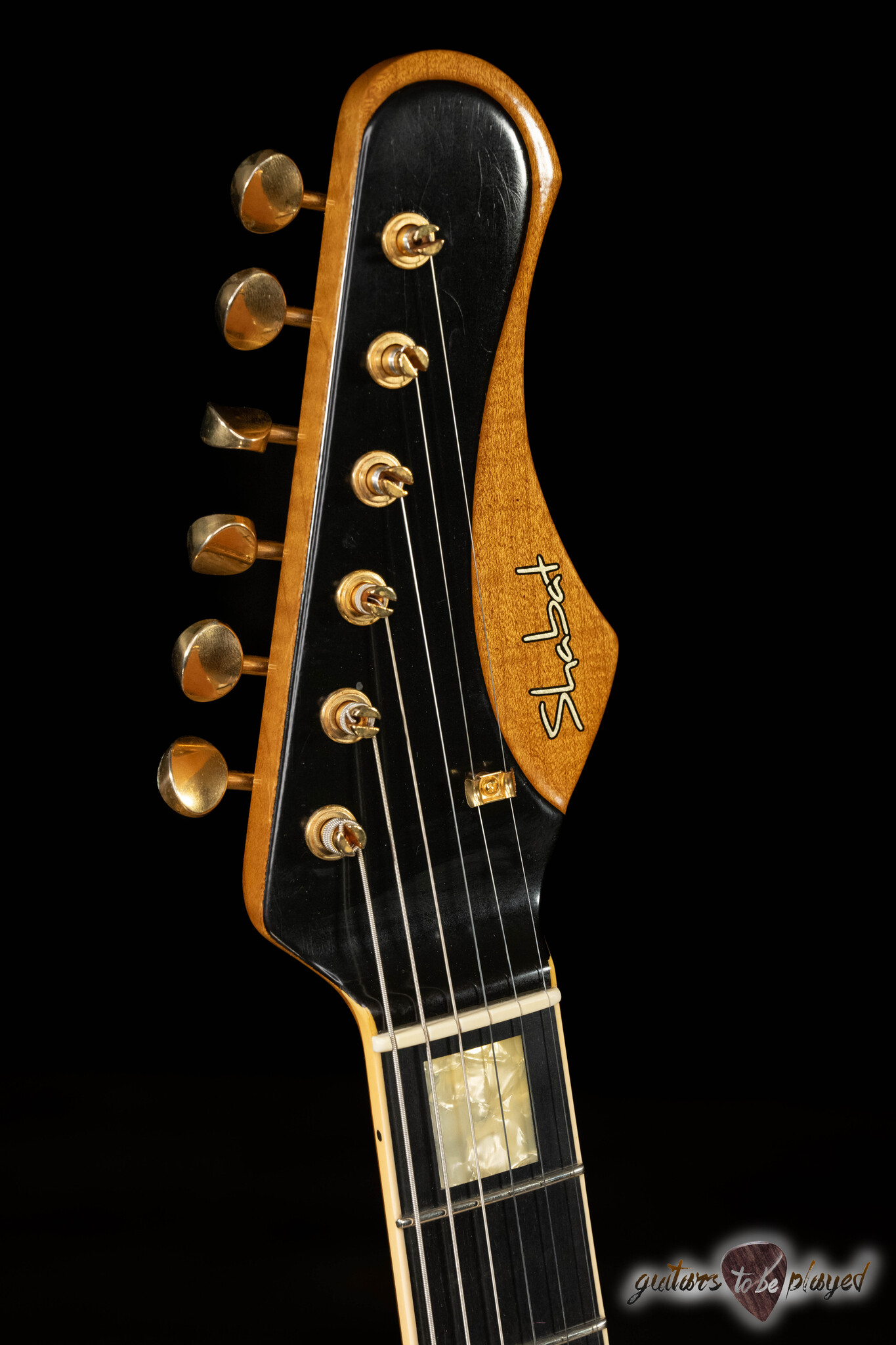 Shabat Lion Deluxe T-Style Guitar w/ Lollar Imperials – Black - Guitars ...