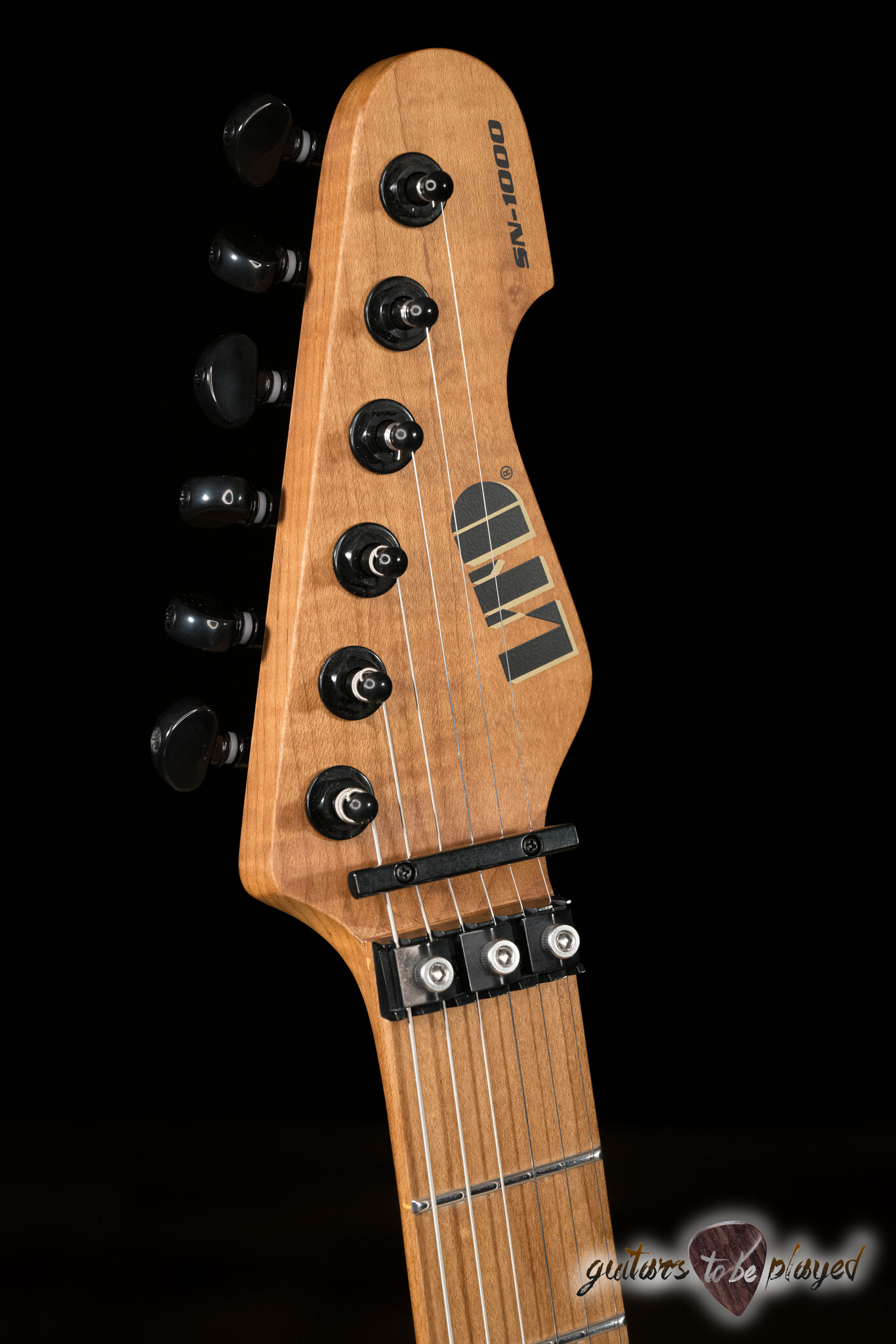 ESP LTD SN-1000FR Swamp Ash Floyd Rose Guitar – Black Blast - Guitars ...